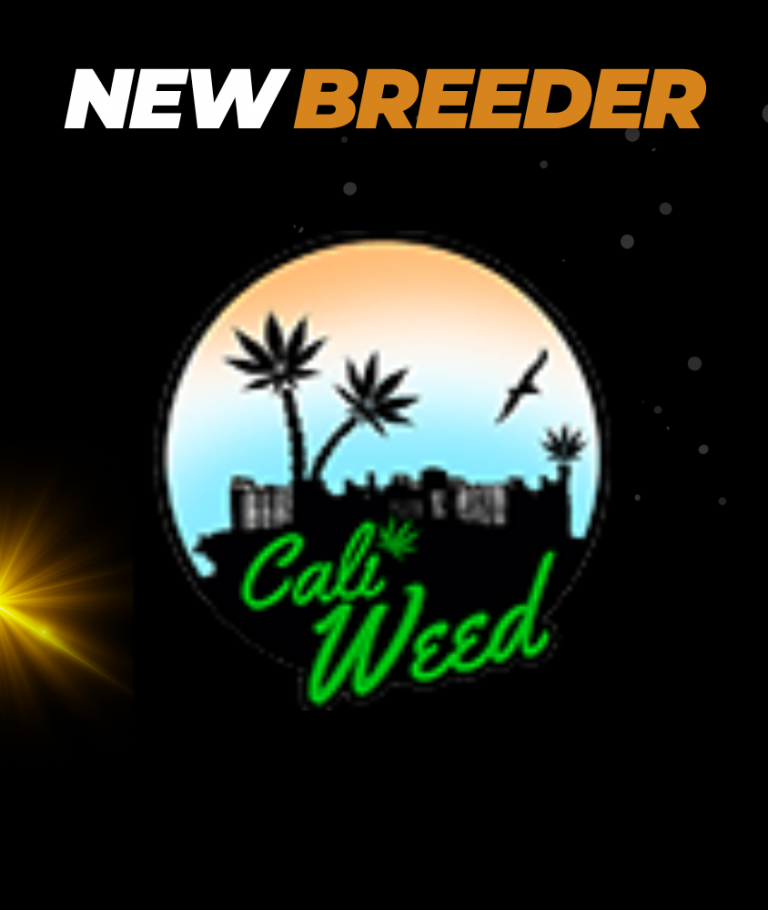 New Cali Weed Seeds Available - Gorilla Seeds News